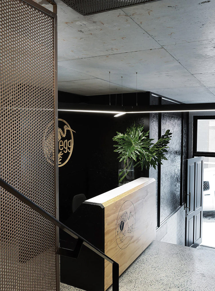 Studio19 Projects – Studio 19