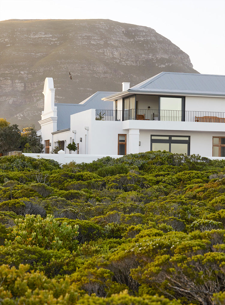 Studio19 Projects – Studio 19