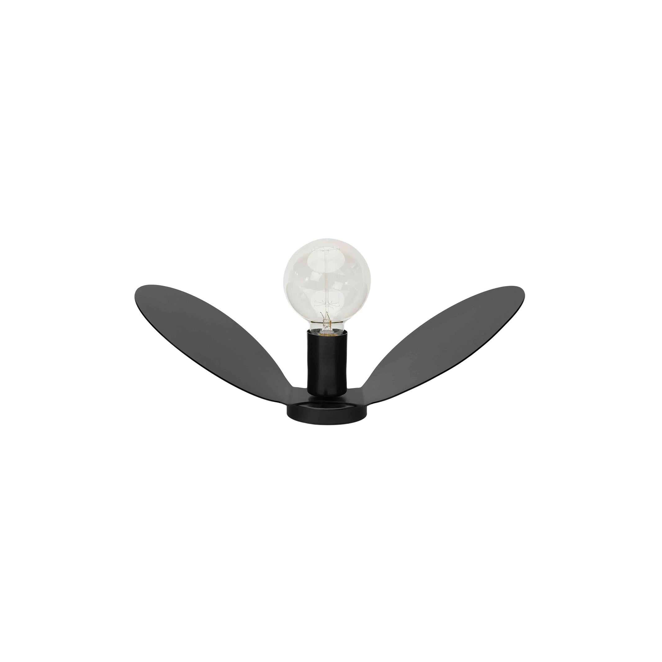 WALL LAMPS – Studio 19