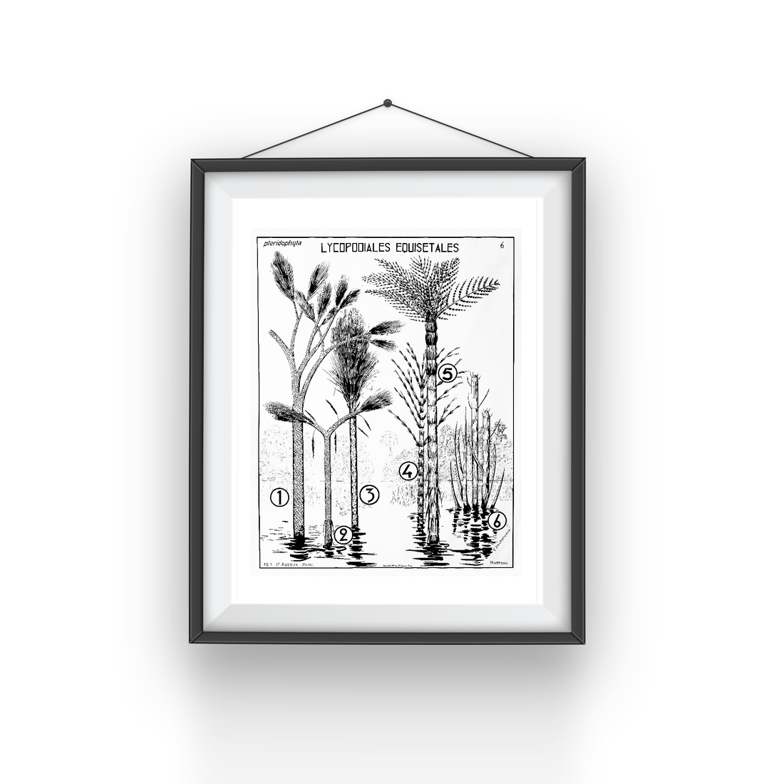 WALL ART – Studio 19