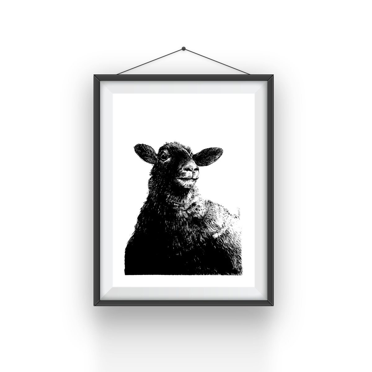 SHEEP POSTER – Studio 19